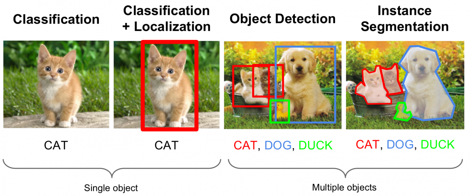 Object Detection คืออะไร บทความสอน Ai ตรวจจับวัตถุ Tensorflow Js